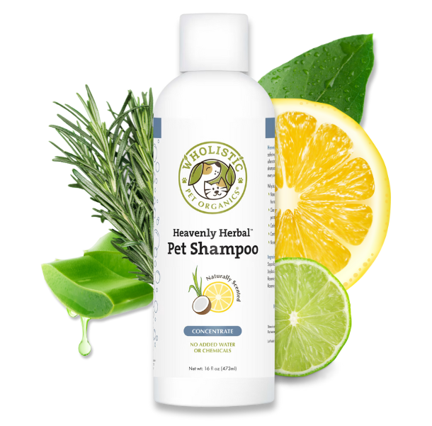 Sustainable Cats - Sustainable Cats